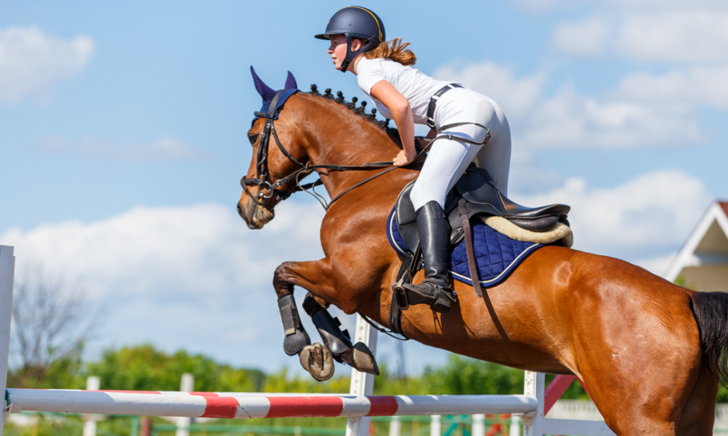 Eq-Quality – Performance Analysis For Equestrian Sports